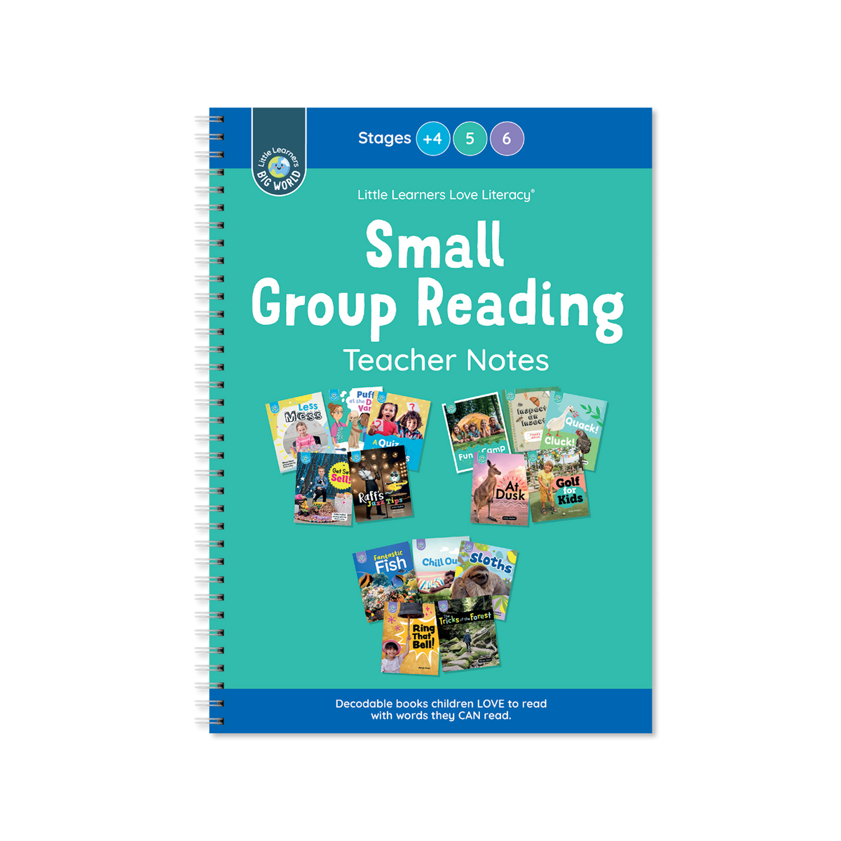 Big World Nonfiction Small Group Reading Teacher Notes Stages Plus 4 ...