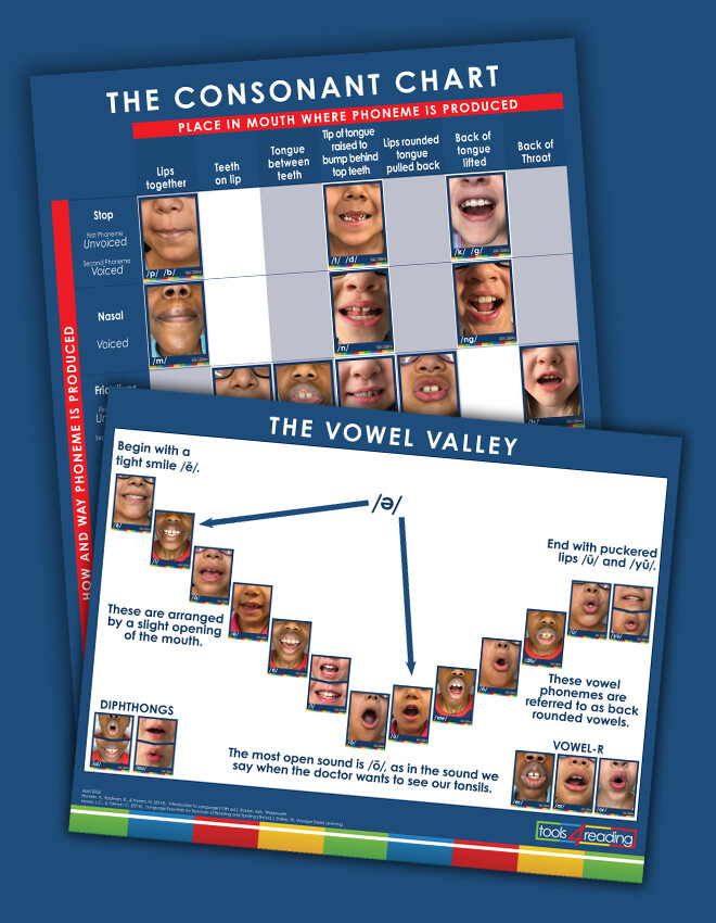 Consonant Chart & Vowel Valley Poster Set – The Reading League Shop